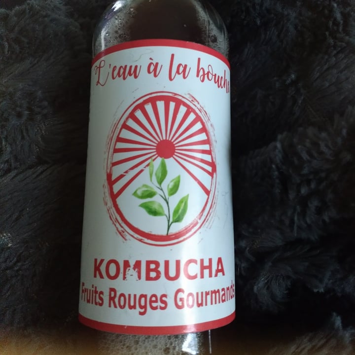 L'eau à la bouche Kombucha aux fruits rouges gourmands Review | abillion