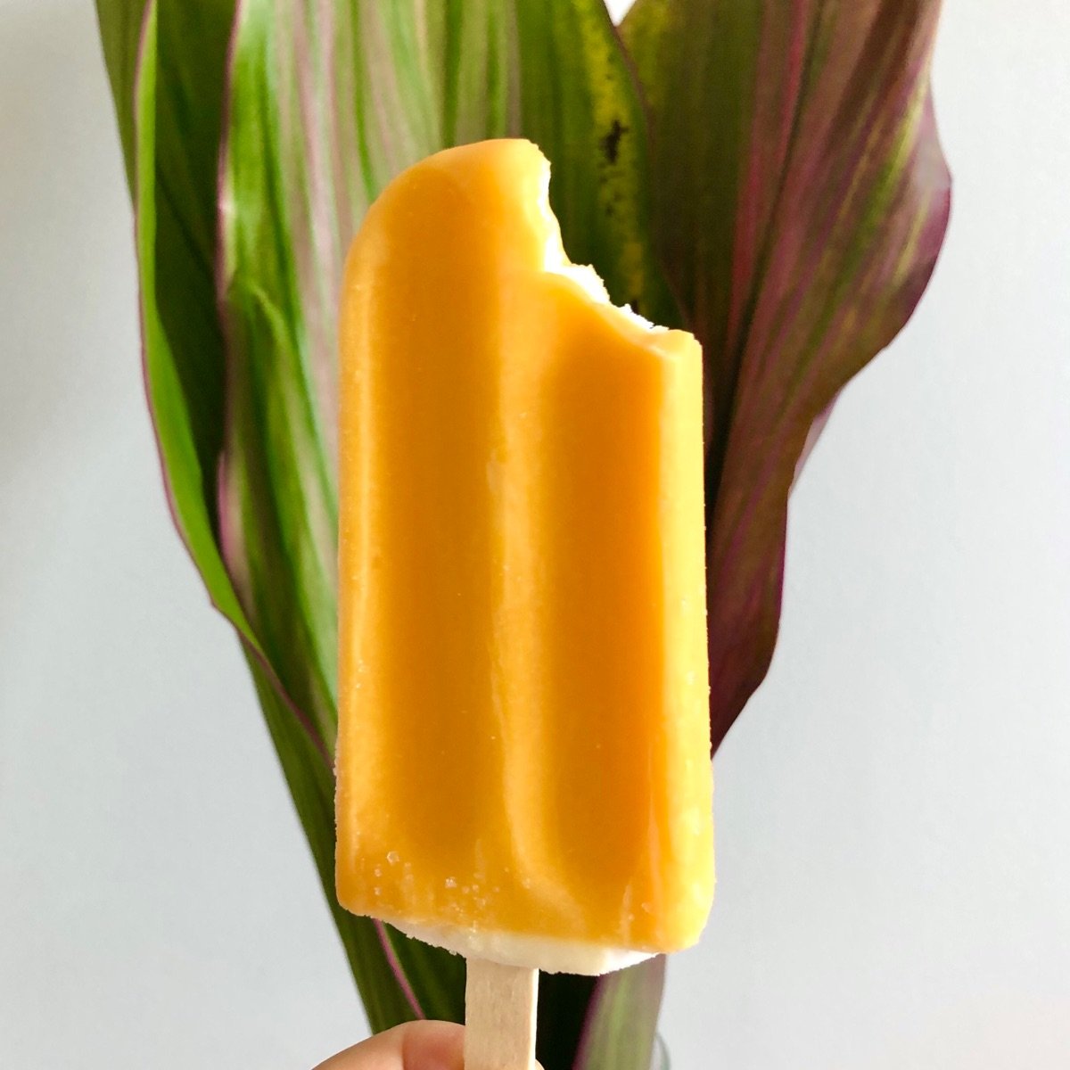 Orange N' Cream from Goodpop - Vegan Product Reviews & Ratings | abillion