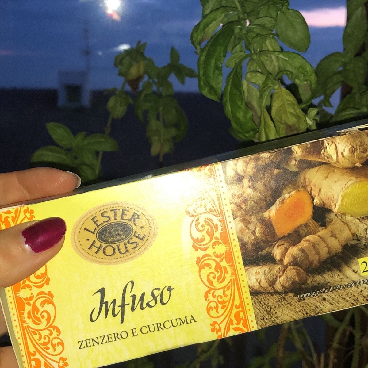 Infuso zenzero e curcuma from Lester House - Vegan Product Reviews ...