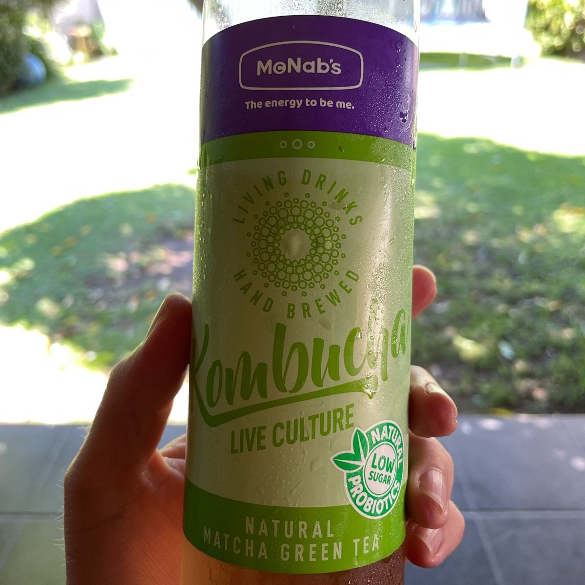 Moringa Tea Kombucha from McNabs - Vegan Product Reviews & Ratings ...