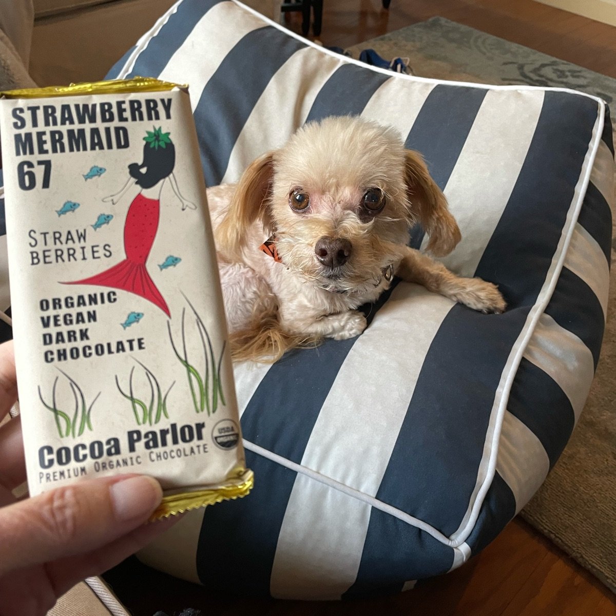 Strawberry Mermaid from Cocoa Parlor - Vegan Product Reviews & Ratings ...