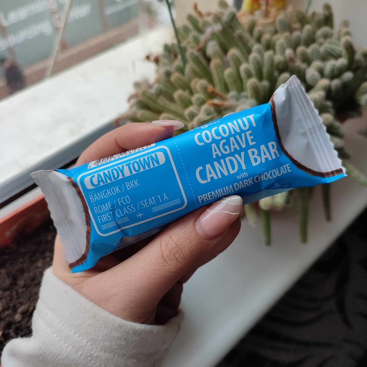 Coconut agave candy bar from Candy town - Vegan Product Reviews ...