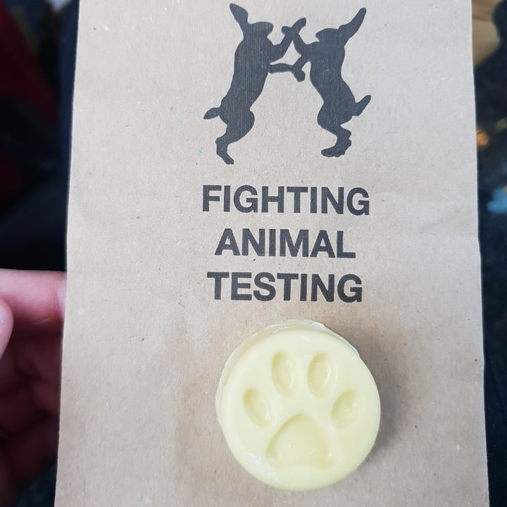 LUSH Fresh Handmade Cosmetics Charity Pot Coin Animal Rights Review ...