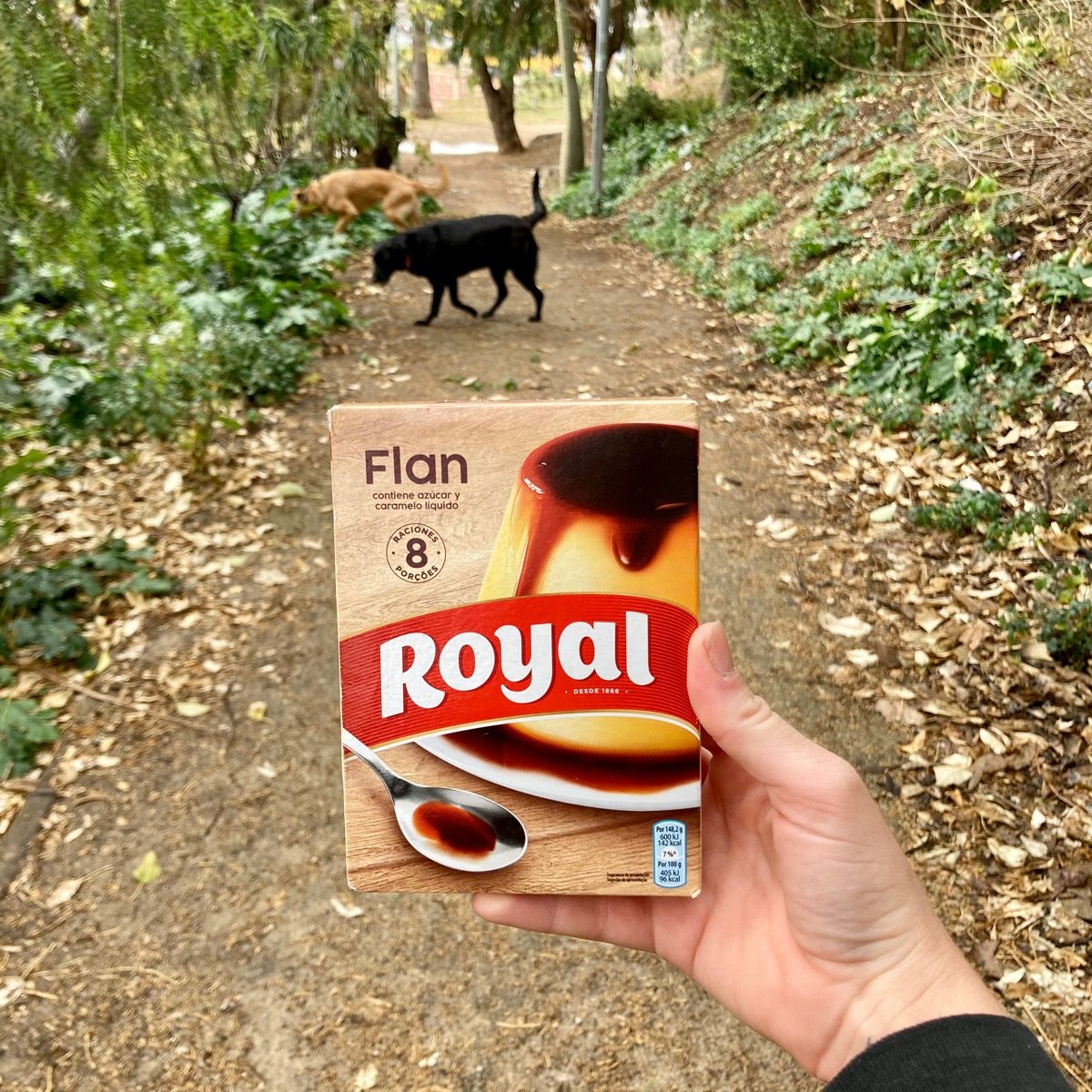 Flan instantáneo from Royal - Vegan Product Reviews & Ratings | abillion