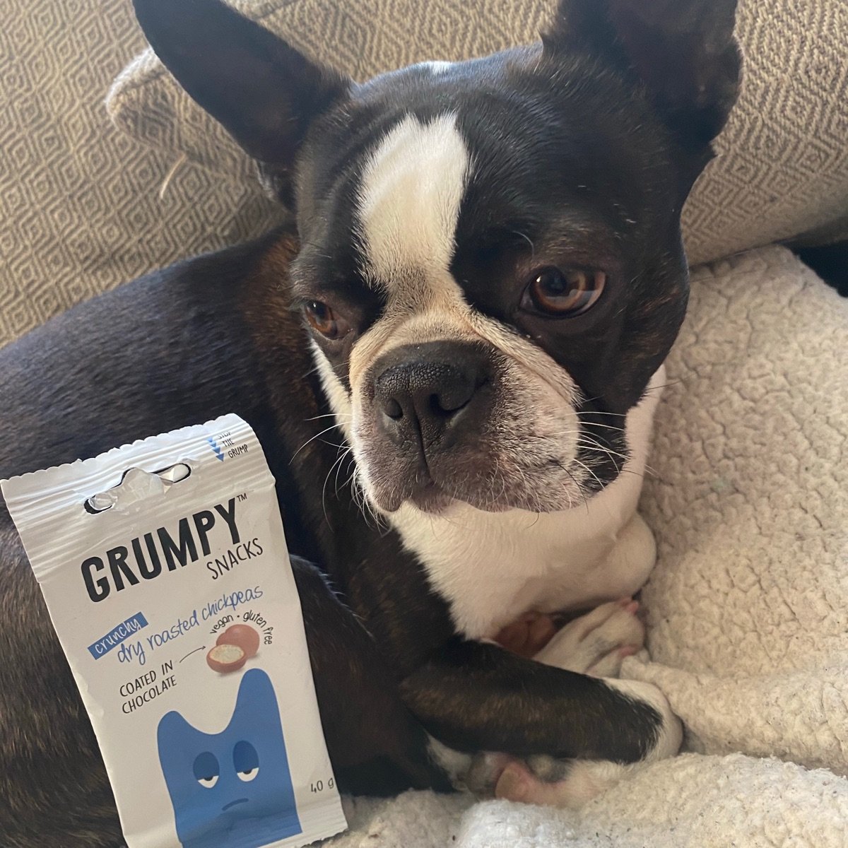 crunchy choc coated chickpeas from Grumpy Snacks - Vegan Product ...