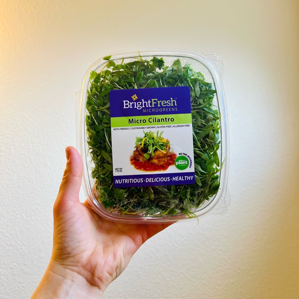 Micro Cilantro from brightfresh - Vegan Product Reviews & Ratings | abillion