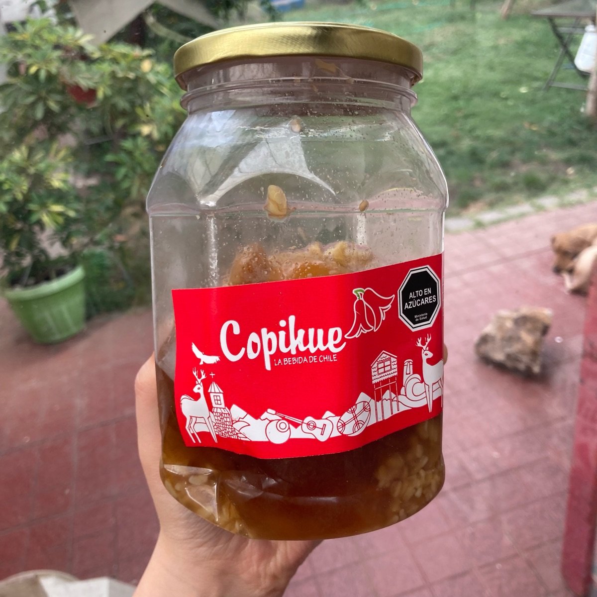 copihue mote con huesillo Reviews | abillion