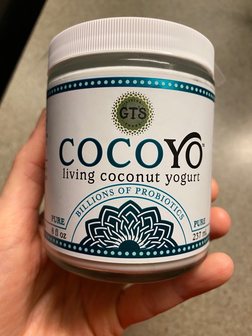 Cocoyo Living Coconut Yogurt from GT’s Living Foods - Vegan Product ...