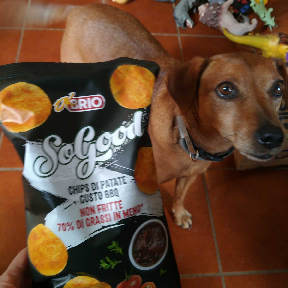 Snick Snack BBQ from Fiorentini - Vegan Product Reviews & Ratings ...