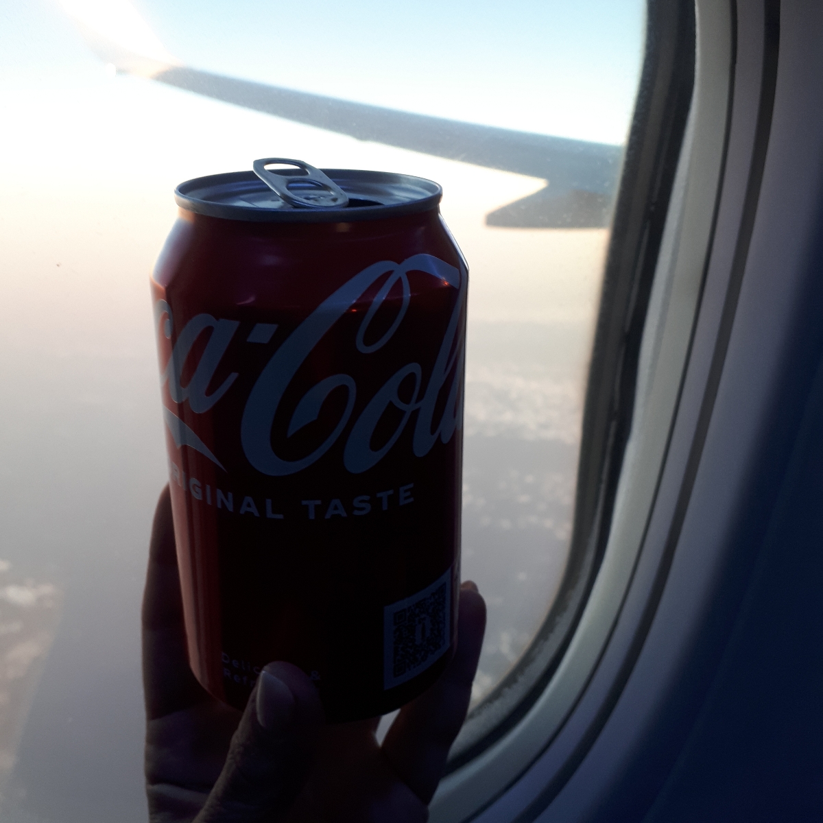 Coca Cola from Ryanair - Vegan Product Reviews & Ratings | abillion