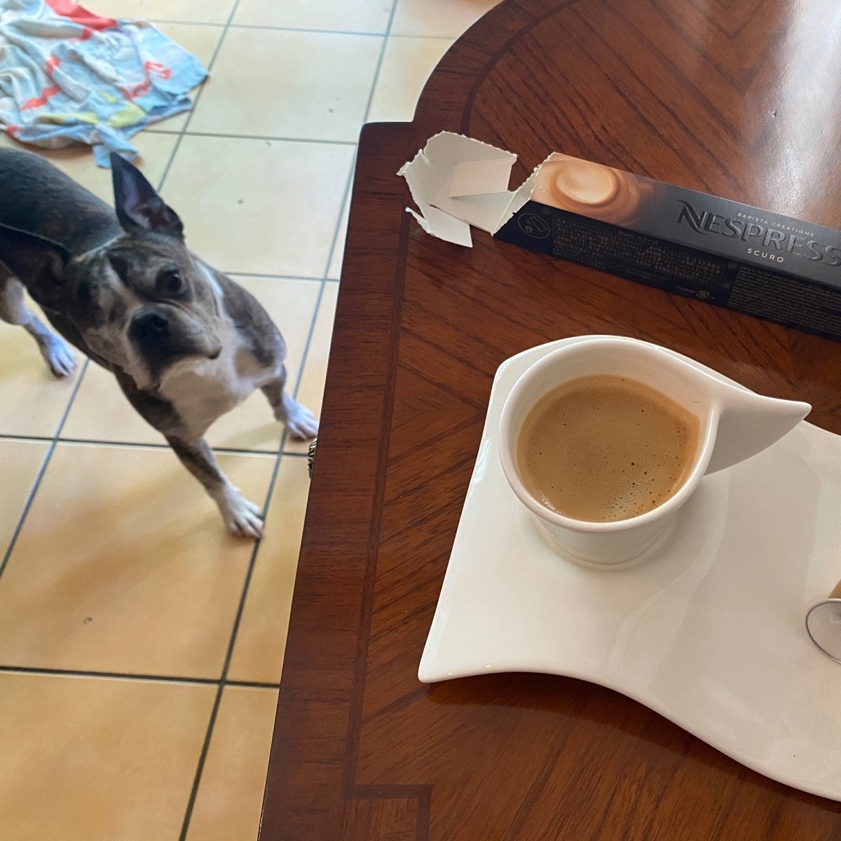 Scuro from Nespresso - Vegan Product Reviews & Ratings | abillion
