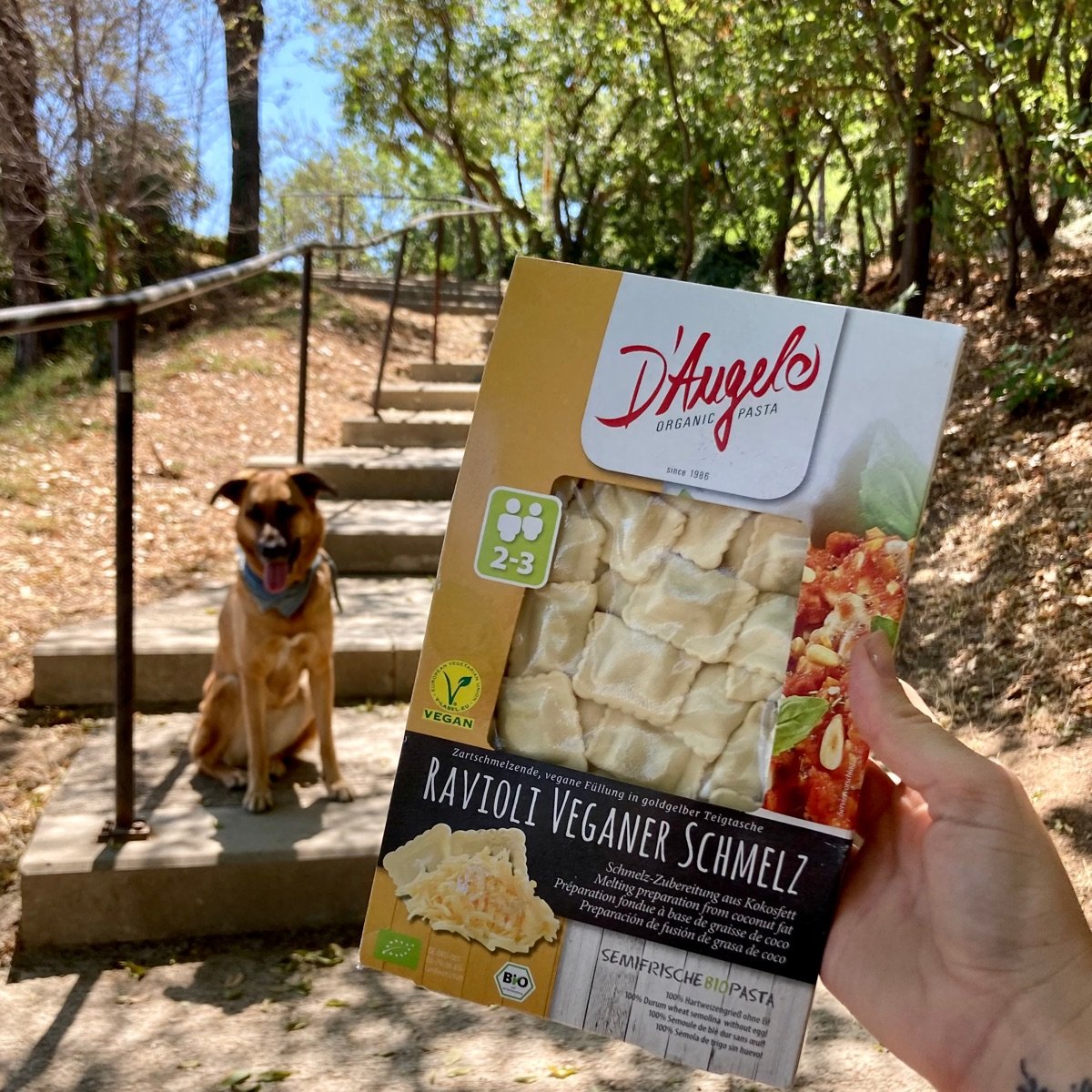 Ravioli Veganer Schmelz from D'Angelo - Vegan Product Reviews & Ratings ...