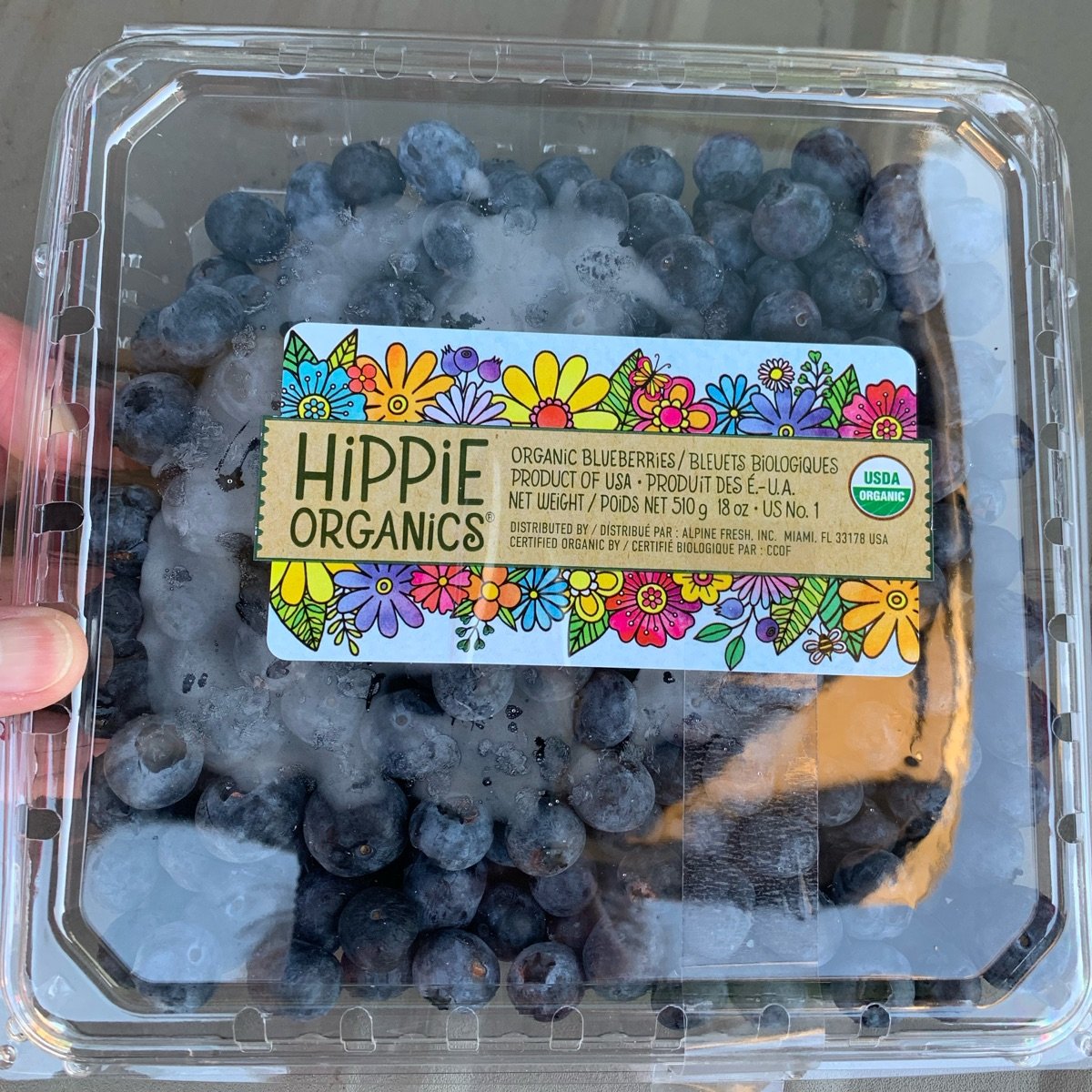 Organic blueberries from Hippie Organics - Vegan Product Reviews ...