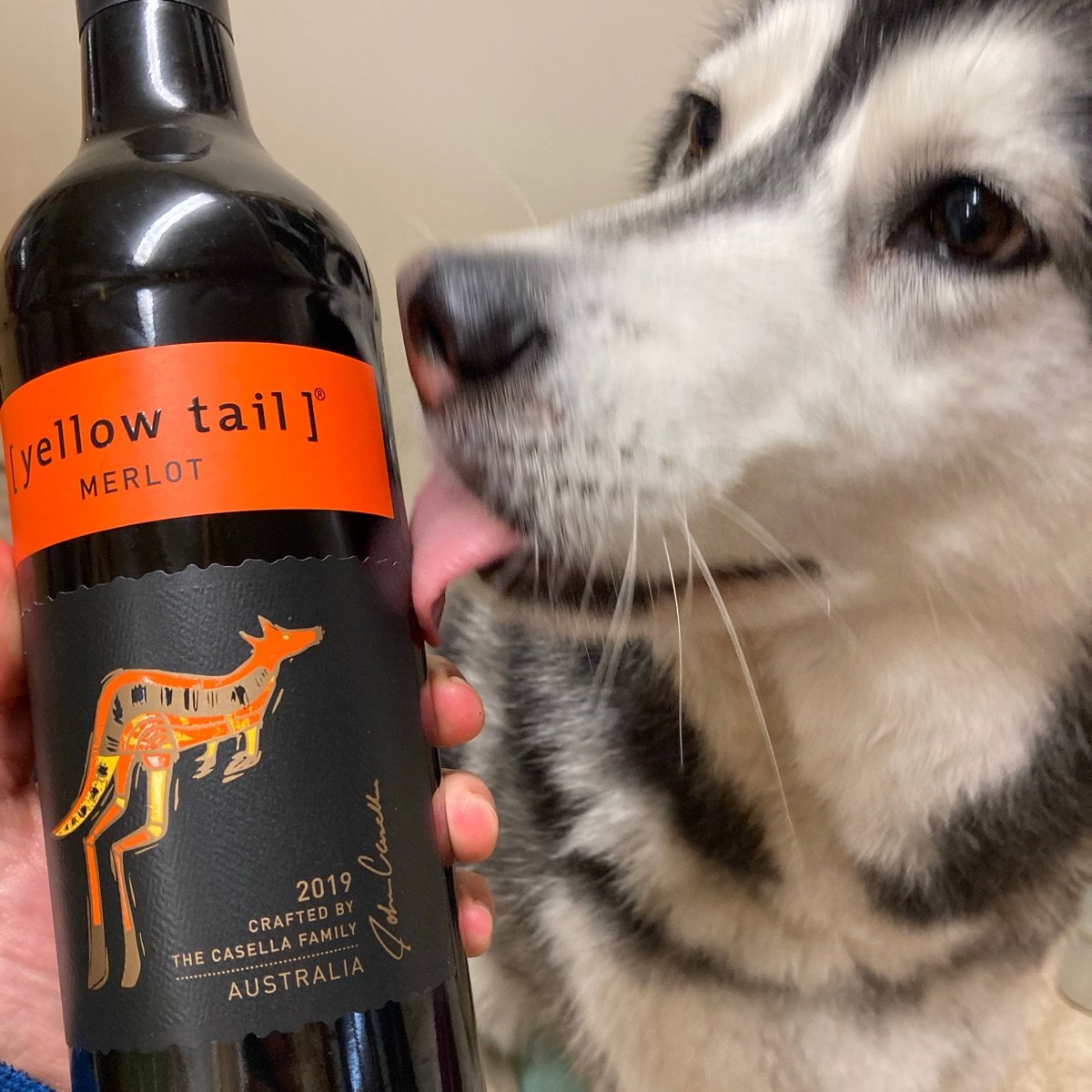 Merlot from Yellow Tail - Vegan Product Reviews & Ratings | abillion
