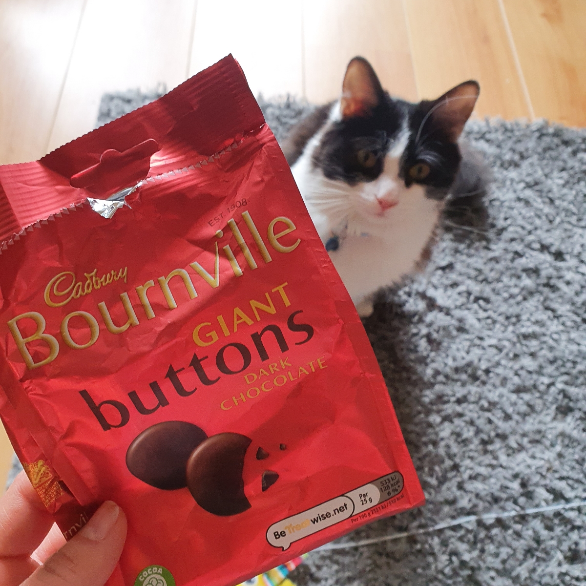 Giant Buttons from Bournville - Vegan Product Reviews & Ratings | abillion