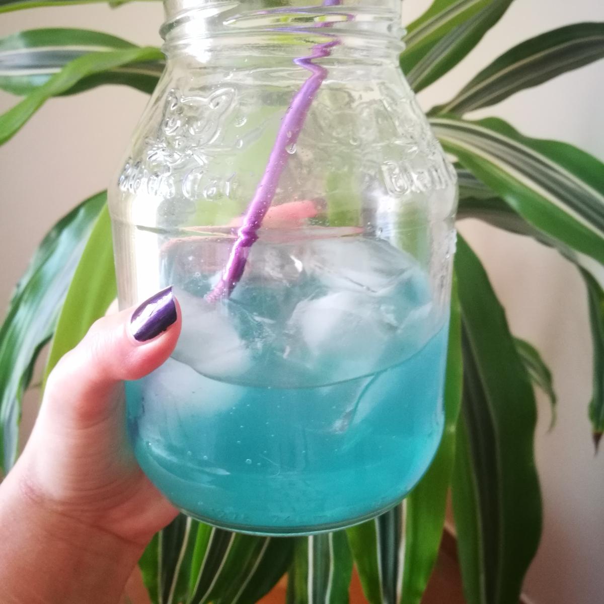 The Coconut Edition From Red Bull Vegan Product Reviews Ratings