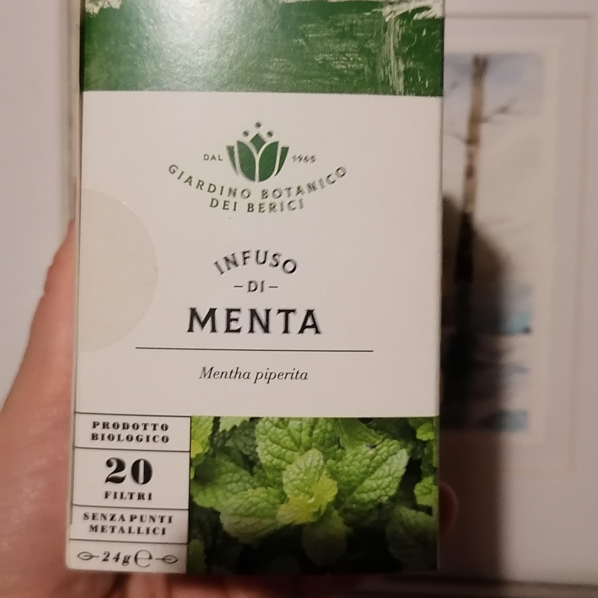 Infuso di menta from Giardino botanico Dei Berici - Vegan Product ...
