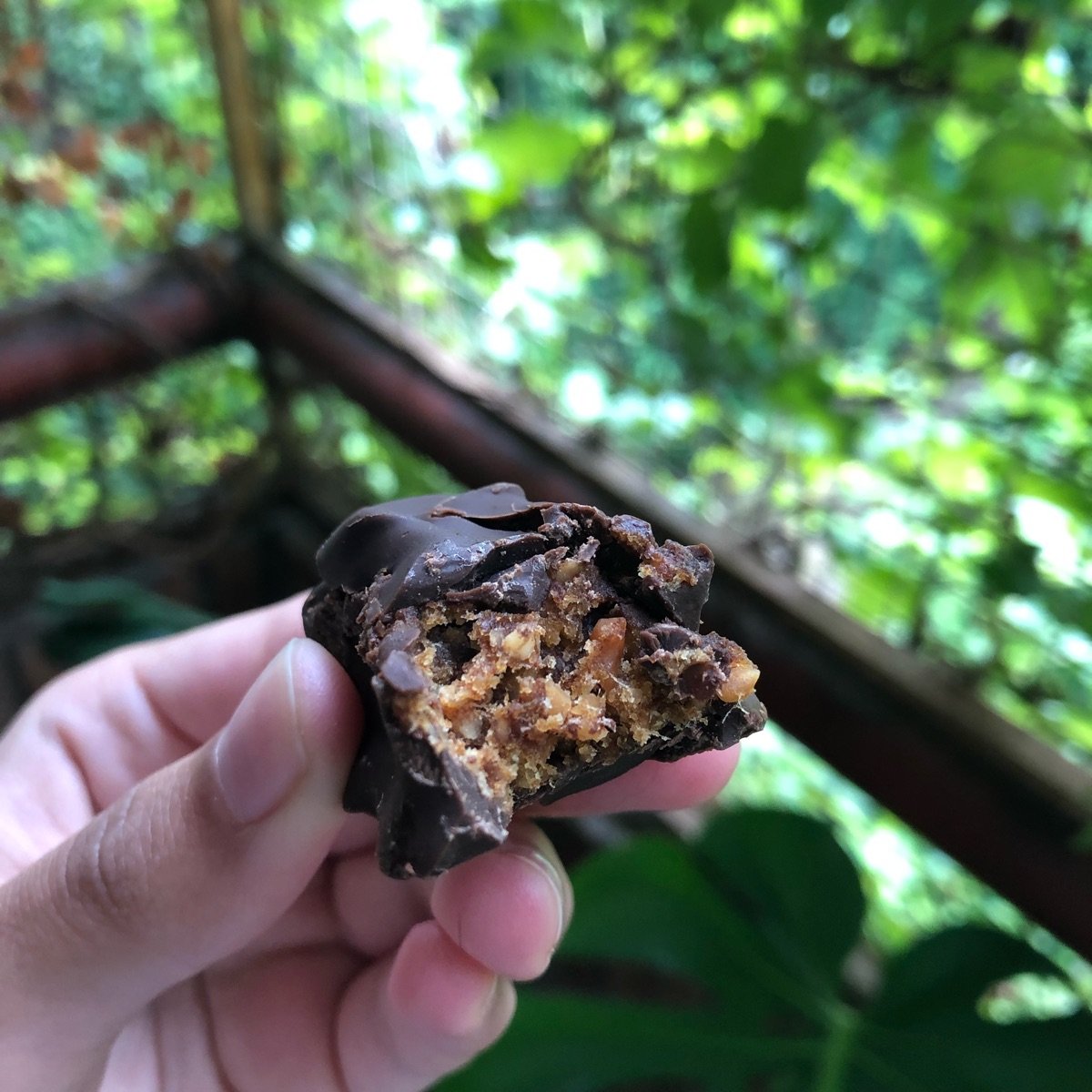 Datil bite from Dulce origen - Vegan Product Reviews & Ratings | abillion