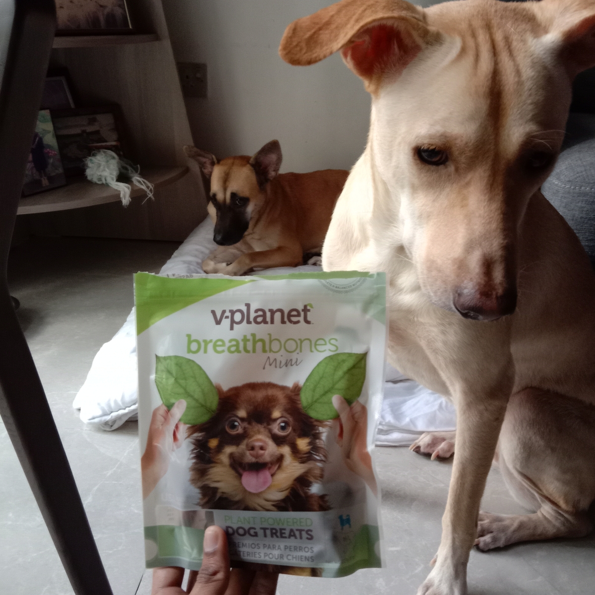 v-planet mini breathbones from v-planet - Vegan Product Reviews ...