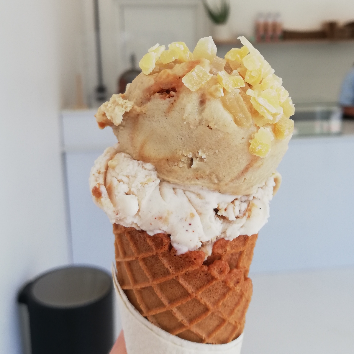 Ginger Snap Ice Cream from Ditto - Vegan Product Reviews & Ratings ...