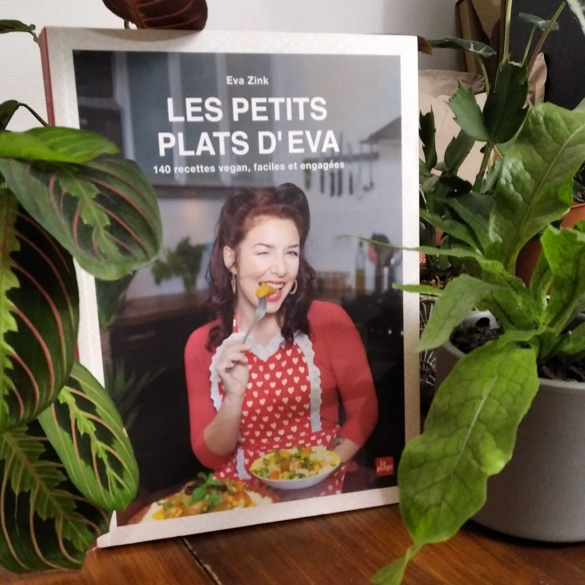 Les petits plats d'Eva d'Eva Zink from La plage - Vegan Product Reviews ...