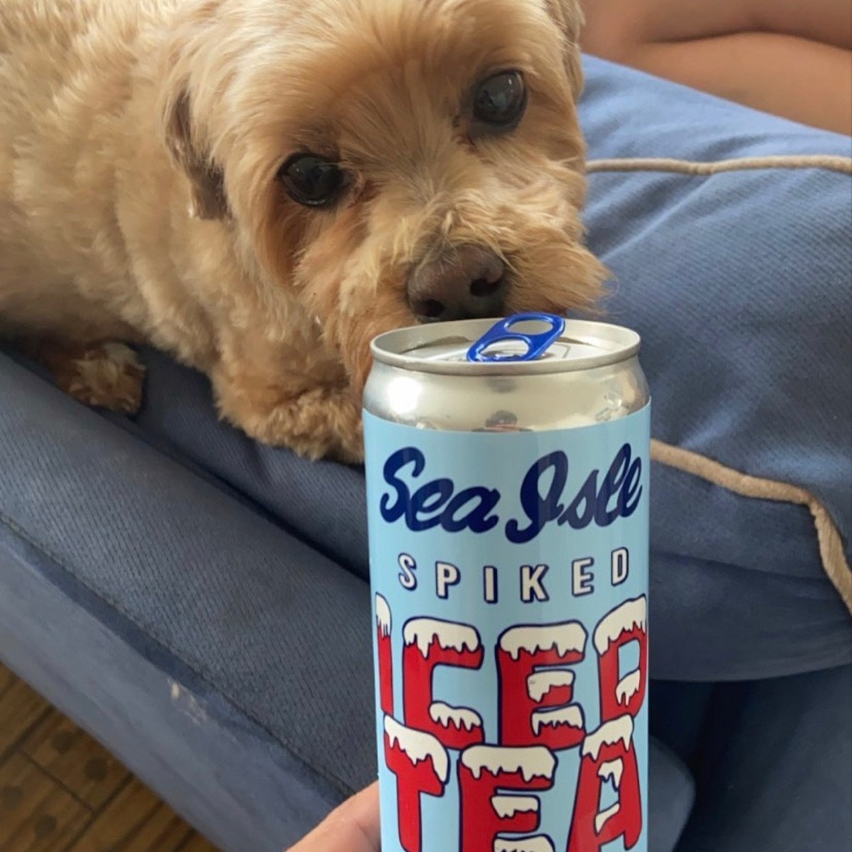 Spiked Iced Tea from Sea Isle Ice Company - Vegan Product Reviews ...
