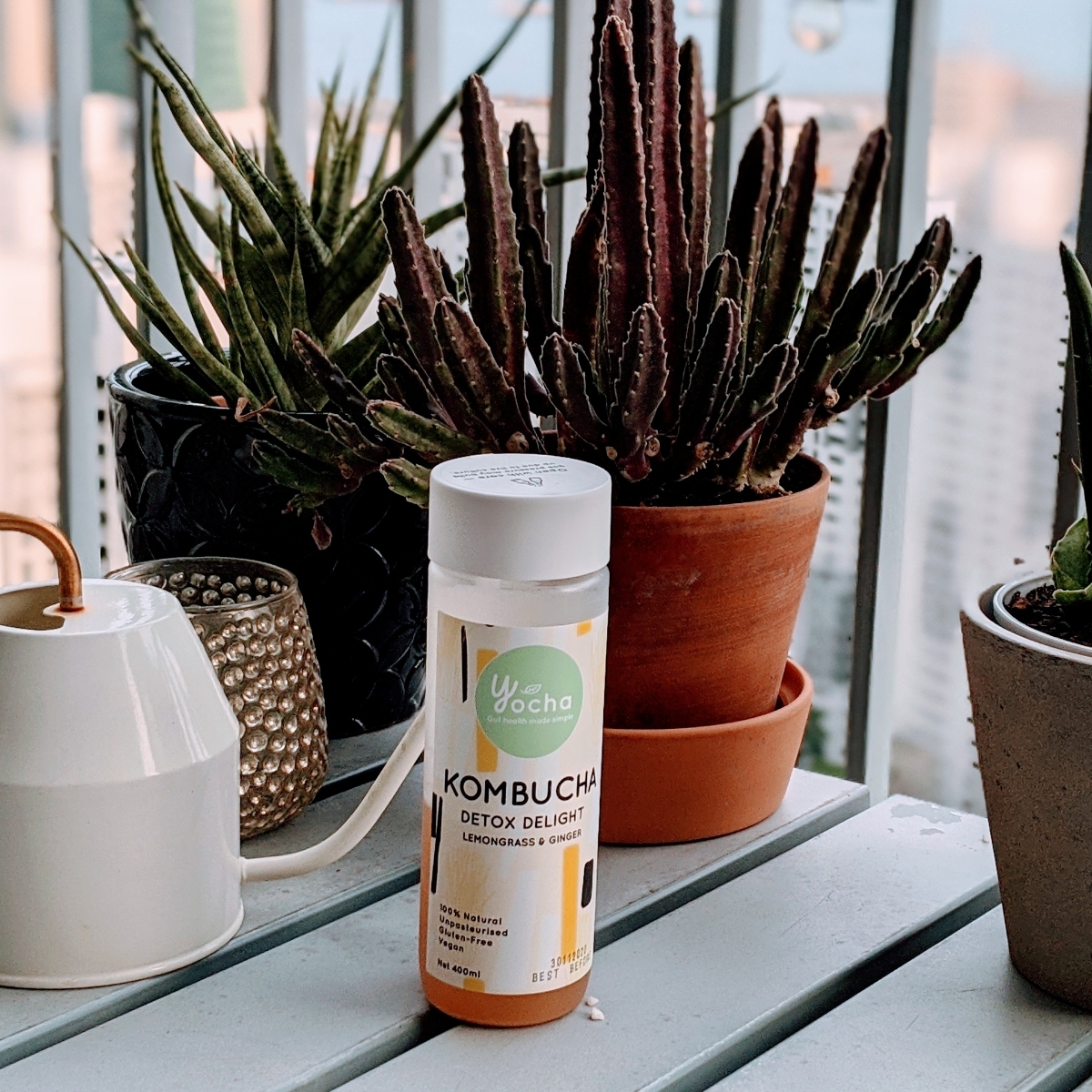 Kombucha Detox Delight from Yocha - Vegan Product Reviews & Ratings ...