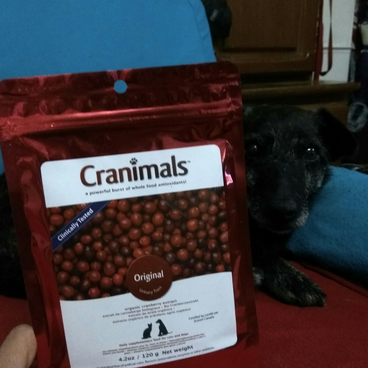 Cranberry for Animals from Cranimals - Vegan Product Reviews & Ratings ...