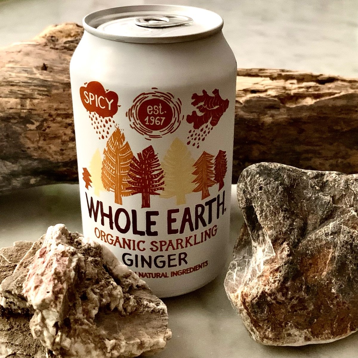 Organic Sparkling Ginger from Whole Earth - Vegan Product Reviews ...