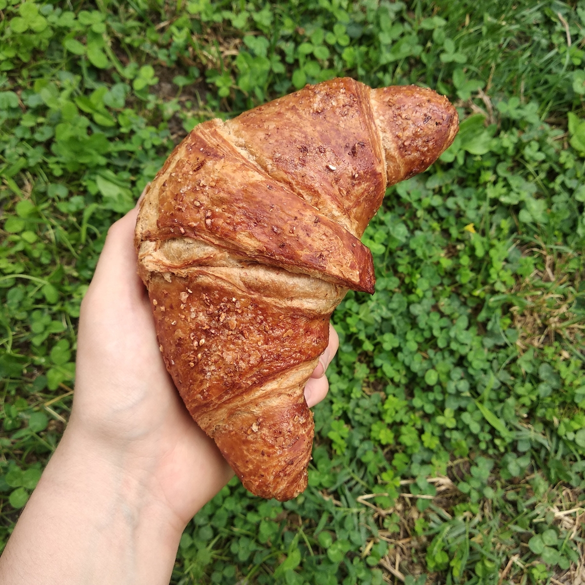 Lidl from Cornetto Vegano ai frutti di bosco - Vegan Product Reviews ...