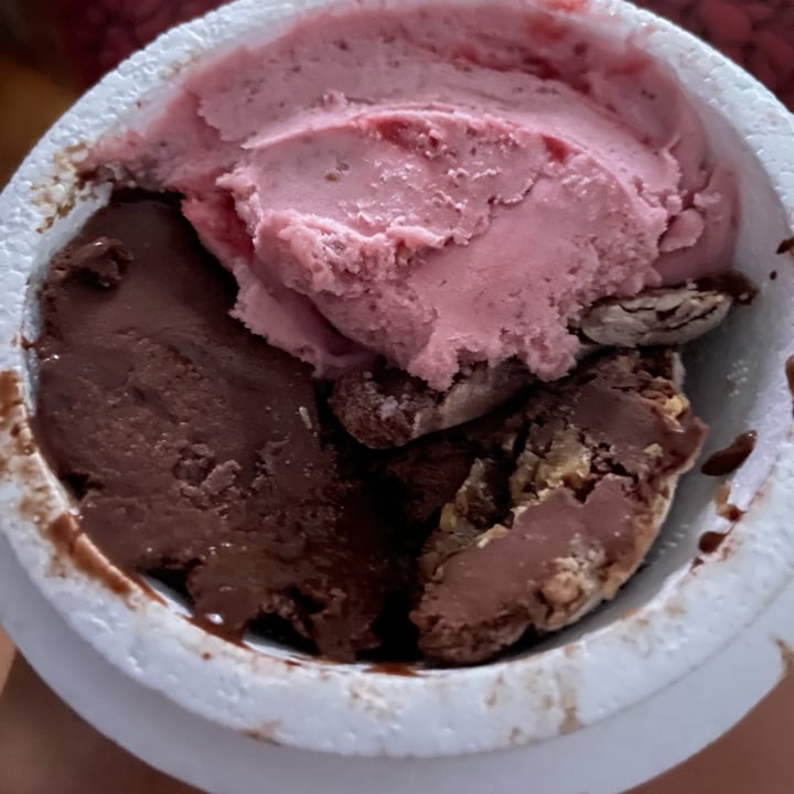 Freddo Helados Notco Veganos Review | abillion