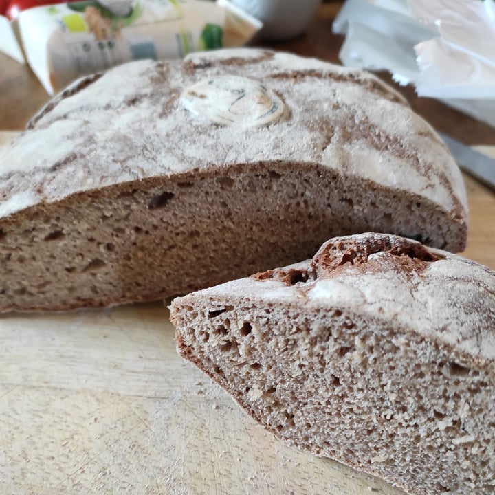 Menchetti Reviews | abillion