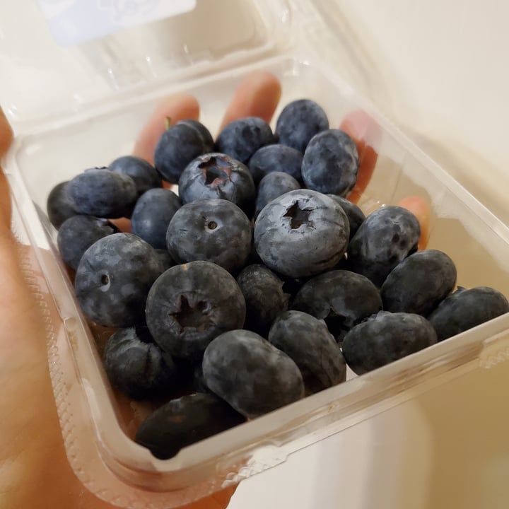 Fresh Corindi Jumbo Blueberries Review | abillion