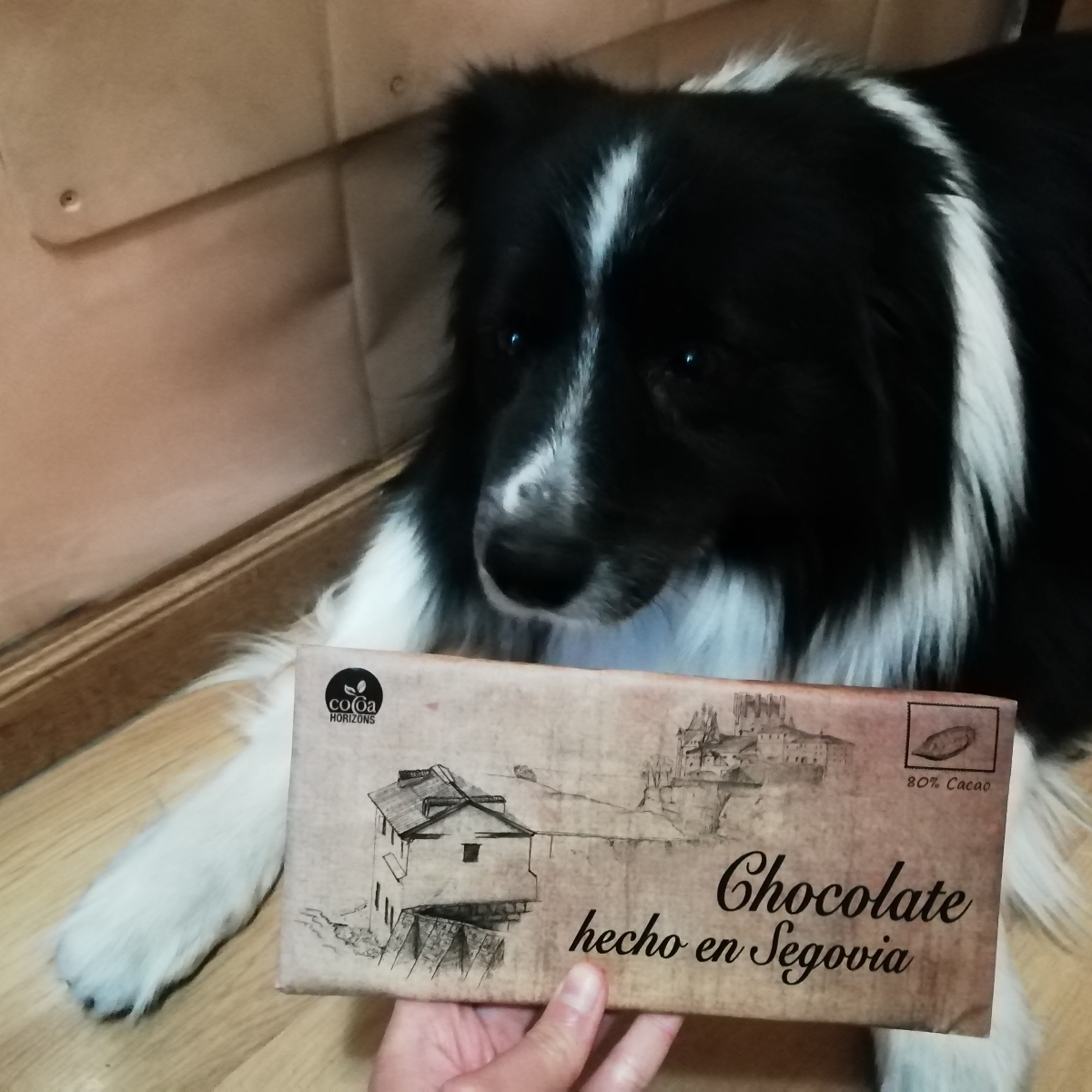 Chocolate hecho en Segovia from Cocoa horizons - Vegan Product Reviews ...