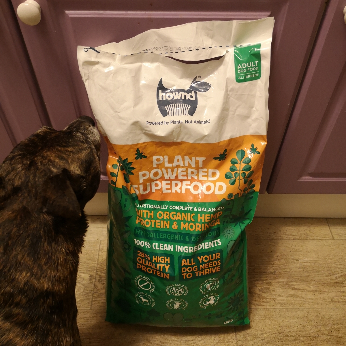 plant powered superfood Organic Hemp Protein & Moringa Adult Dog Food ...