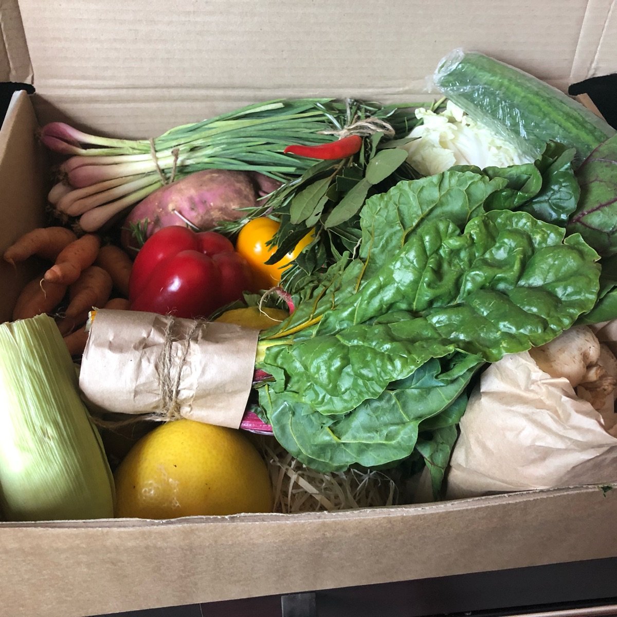 Vegetable Box from Babylonstoren - Vegan Product Reviews & Ratings ...