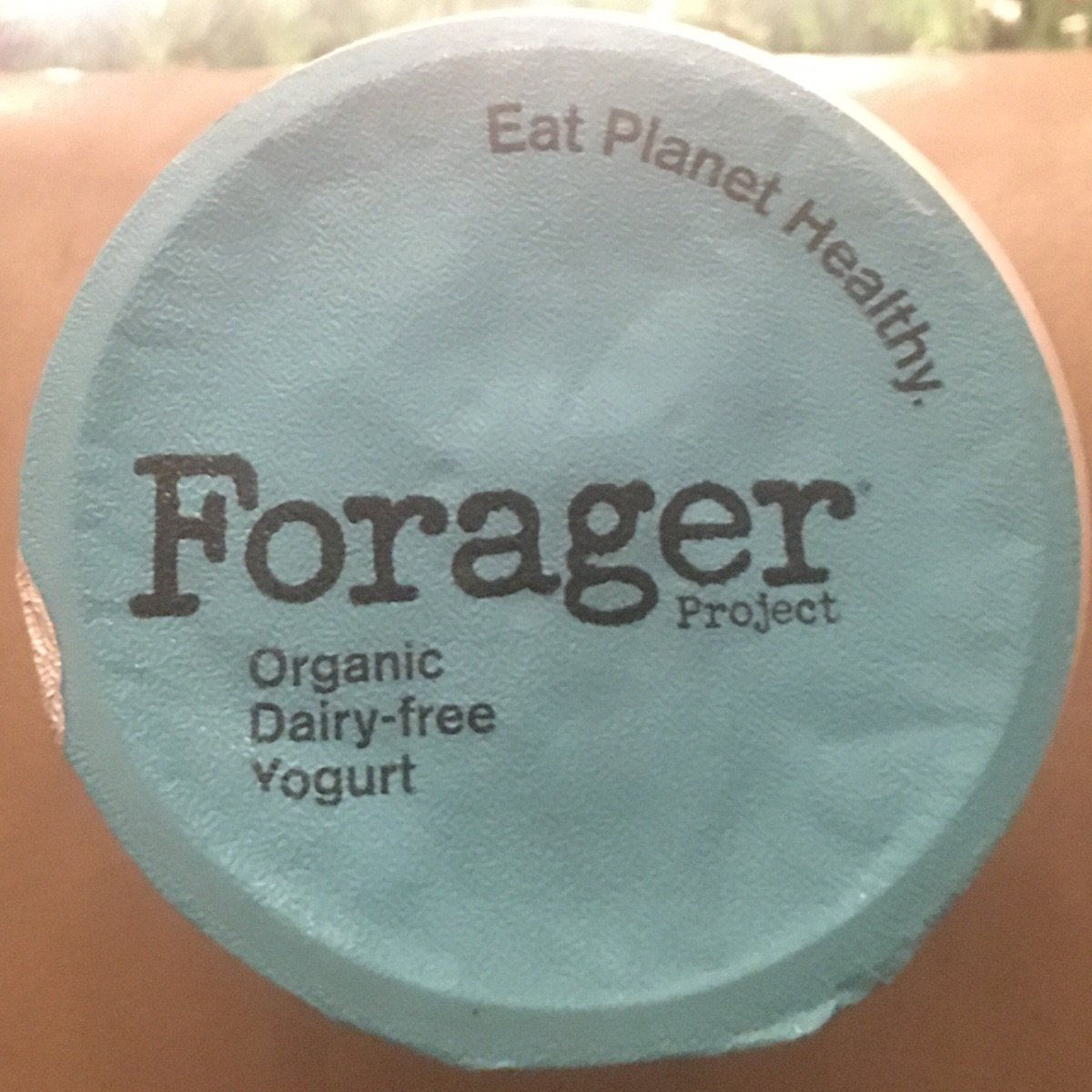 Plant-based Protein Yogurt Unsweetened Plain from Forager Project ...