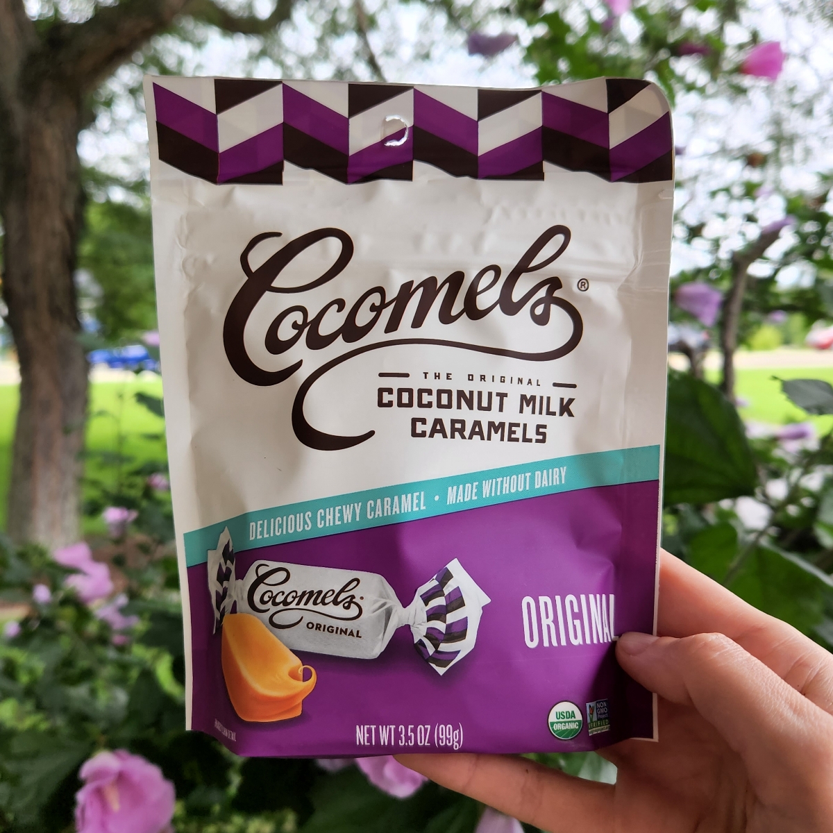 Coconut Milk Caramels from Cocomels - Vegan Product Reviews & Ratings ...