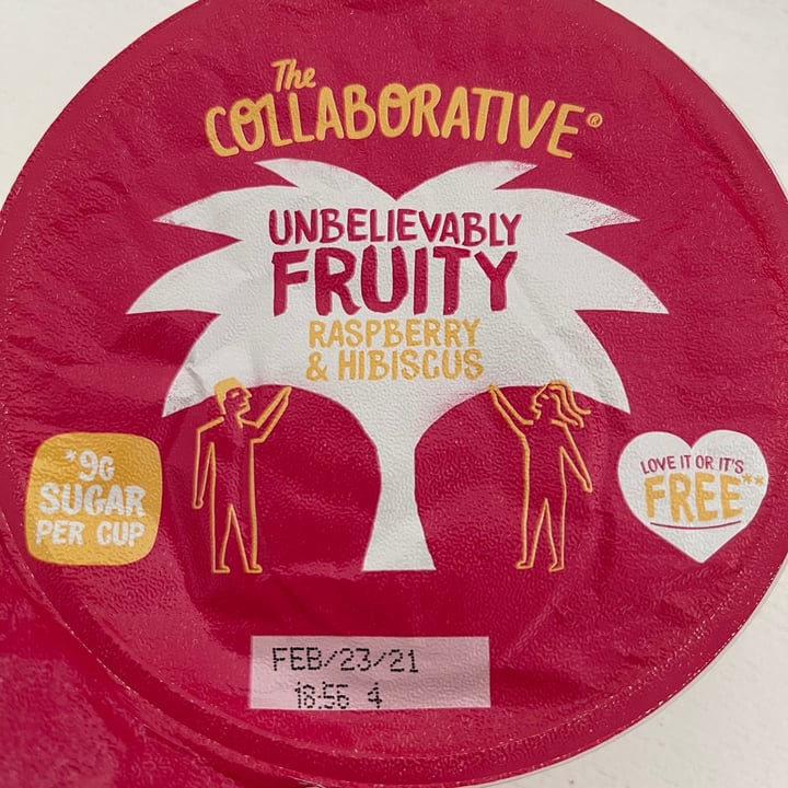 The Coconut Collaborative Raspberry And Hibiscus Yogurt Review | abillion