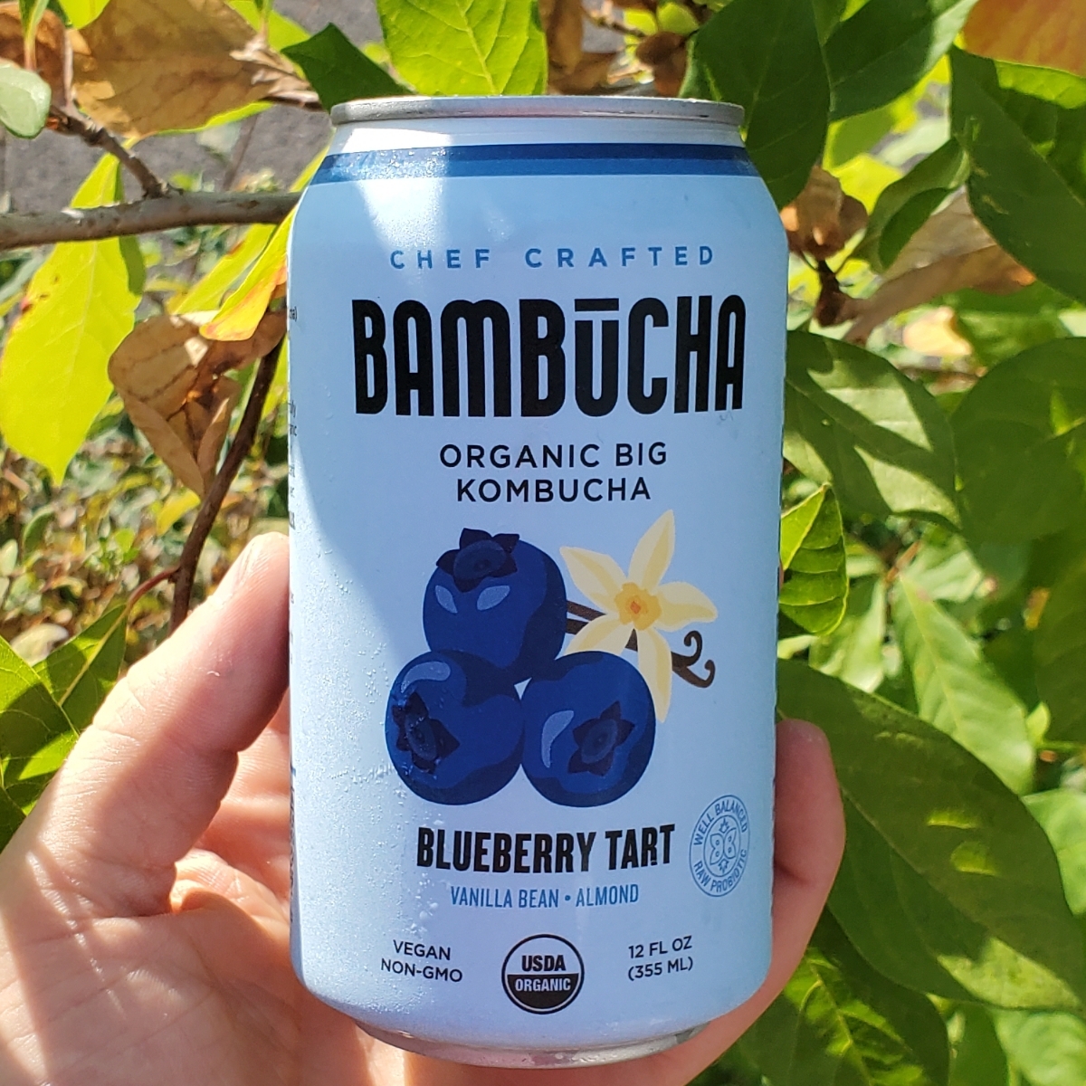 bambucha organic blueberry tart kombucha Reviews | abillion
