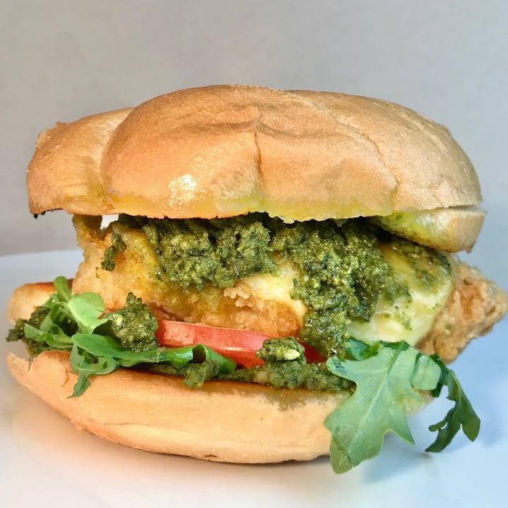 Samwich/Burger Collection | abillion