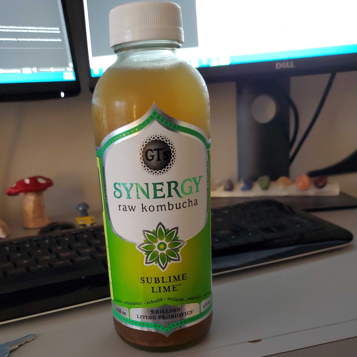 Sublime Lime Kombucha from GT’s Living Foods - Vegan Product Reviews ...