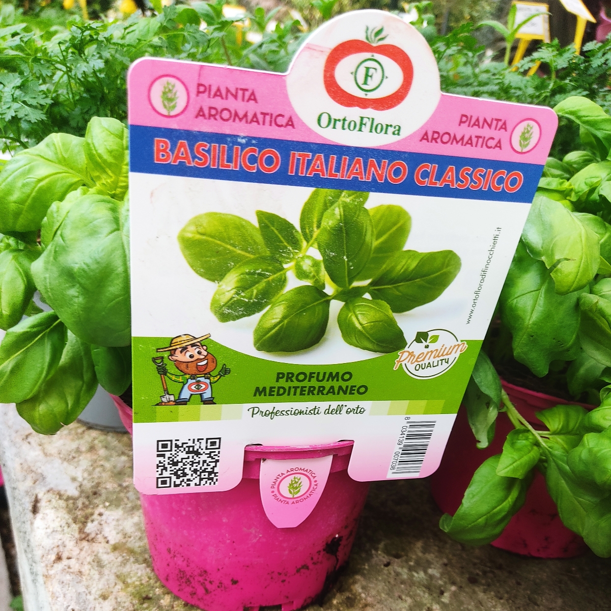 Basilico italiano classico from Orto flora - Vegan Product Reviews ...