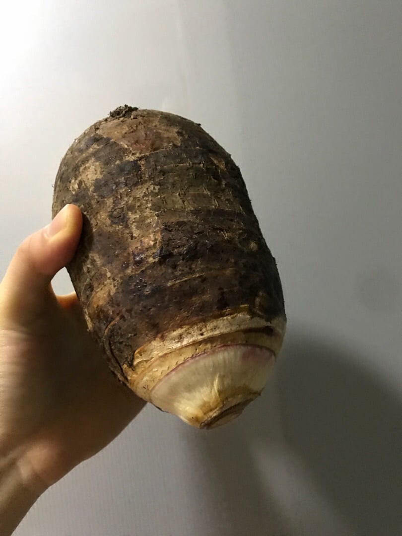 Yam from Woodlands North Plaza Vegetables stall - Vegan Product Reviews ...