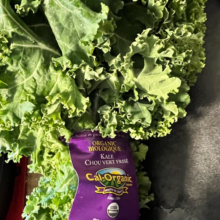 Cal-organic Kale Review | abillion