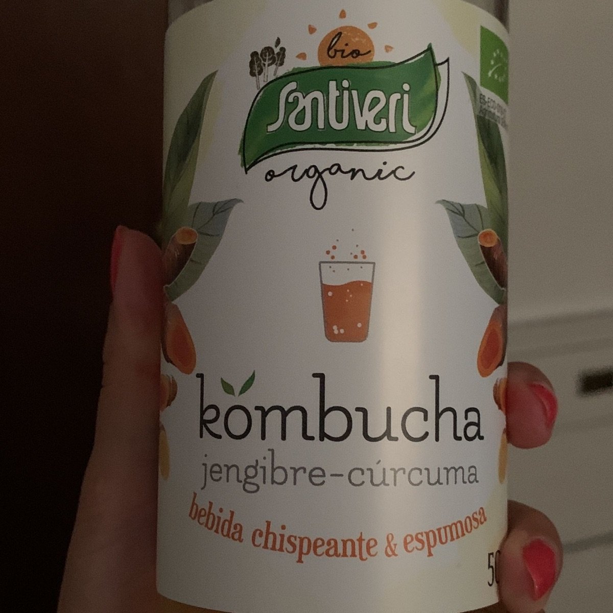 Kombucha Jengibre Cúrcuma from Santiveri - Vegan Product Reviews ...