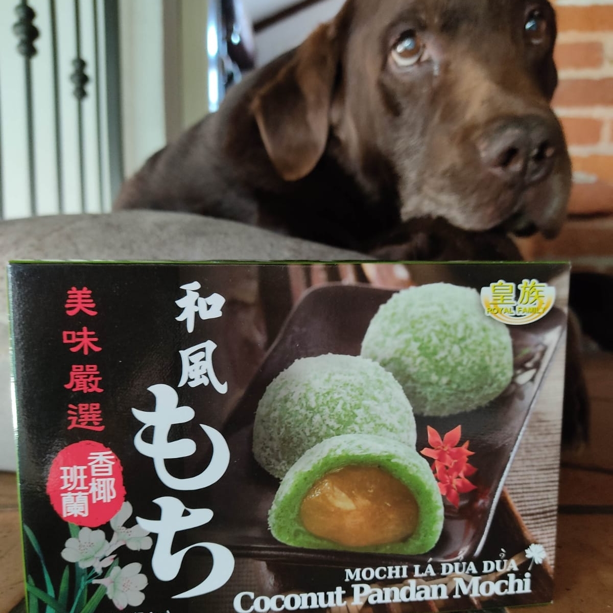 Coconut Pandan Mochi from Mochi La Dua Dua - Vegan Product Reviews ...