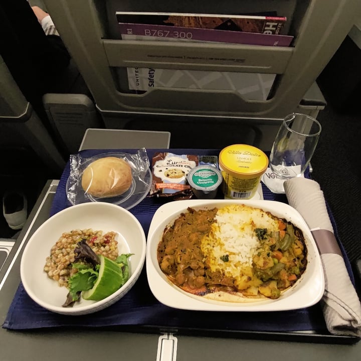 United Airlines Vegan/Vegetarian Meal (VGML) (Premium Plus) Review ...