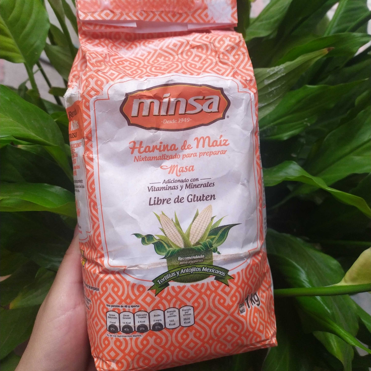 Harina de Maíz Nixtamalizada para preparar Masa from Minsa - Vegan ...