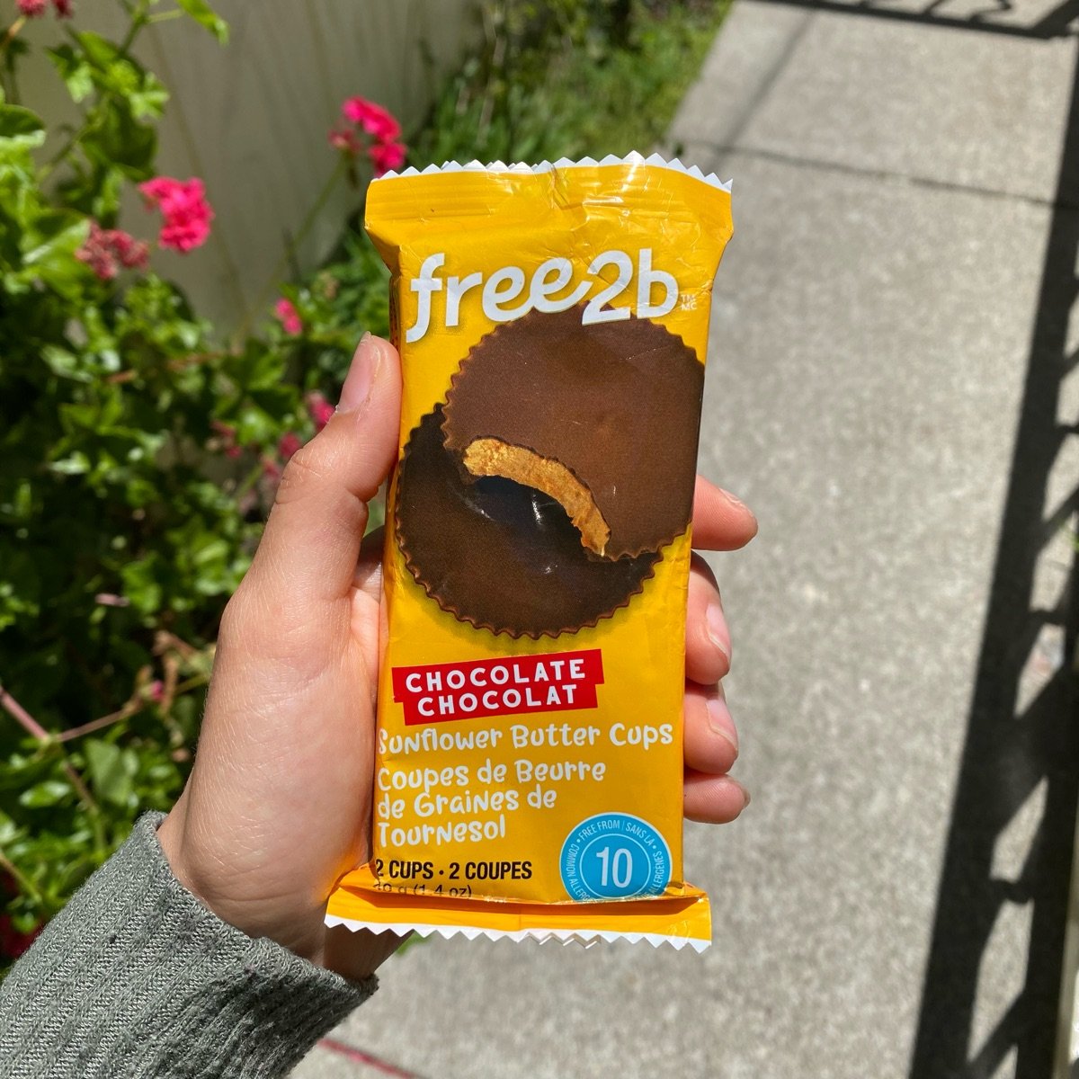 Free2b Foods - Chocolate Sunflower Butter Cups Review | abillion